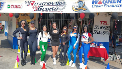 Refaccionaria Gudiño Eje Central en Cuauhtémoc